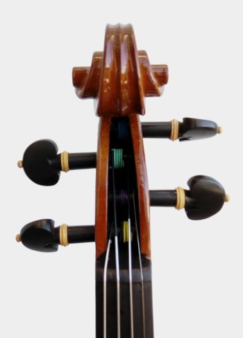 Violon Pizzicato, un violon à prix bas qui a tout d'un grand | Paloma ...